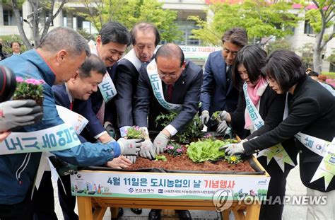 도시농업의 날 분화심기 체험 연합뉴스