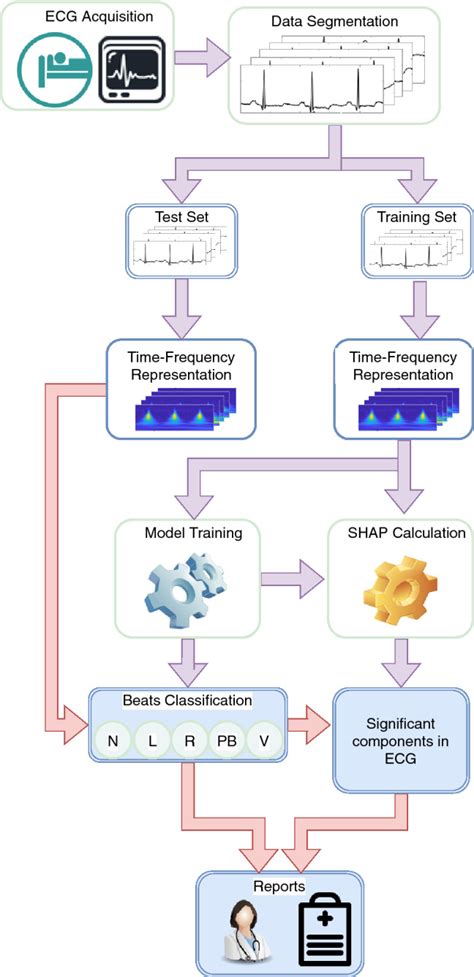 Deep Convolutional Neural Networks Based Ecg Beats Classification To Diagnose Cardiovascular