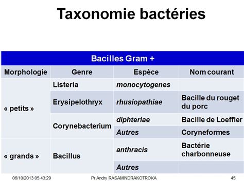 Classification Taxonomie Des Bactéries 8