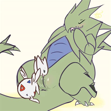 Post 1468265 Porkyman Togetic Tyranitar Clade