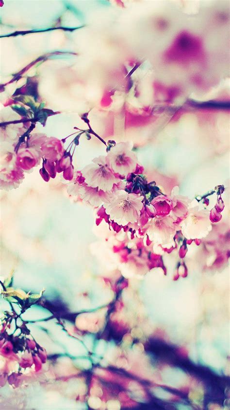 Cute Spring Iphone Wallpapers Top Free Cute Spring Iphone Backgrounds