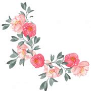 Watercolor Flower PNG Free Image PNG All