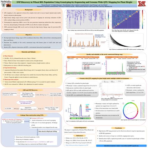 Pdf Snp Discovery In Wheat Ril Population Using Genotyping By
