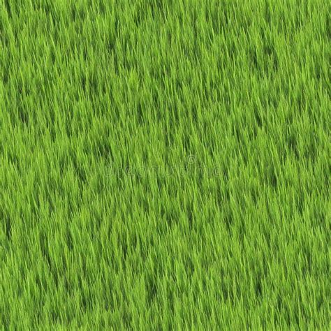 Grass Texture Nature Stock Illustration Illustration Of Natural