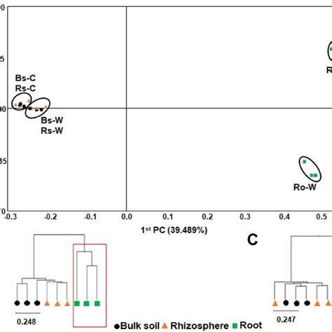 Principal Coordinates Analysis Pcoa And Upgma Clustering Of Bacterial