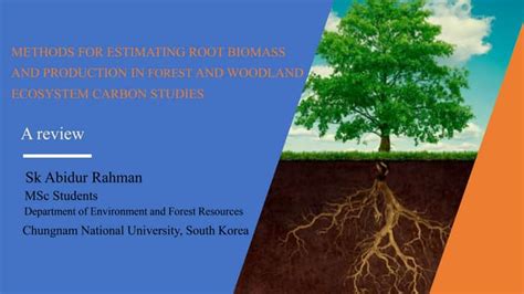 Methods For Estimating Root Biomass And Production In Forest And