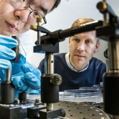 Yang Liu Doctor Of Philosophy Wuhan Textile University Wuhan Department Of Textile