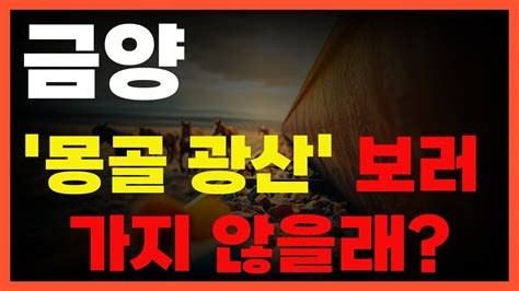🔥 금양 🔴몽골 광산 시찰 기업가치 제고에 도움이 될까 Youtube