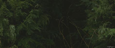 Embry Call From The Twilight Saga Favourites By Anniesmith On Deviantart