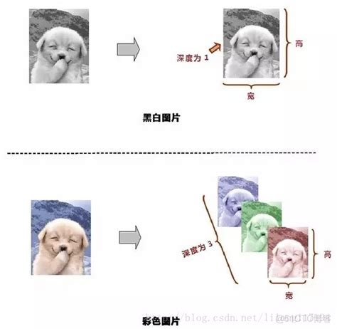 Python Cnn模型提取的特征输入csv模型 Cnn提取图像特征mob64ca14193248的技术博客51cto博客
