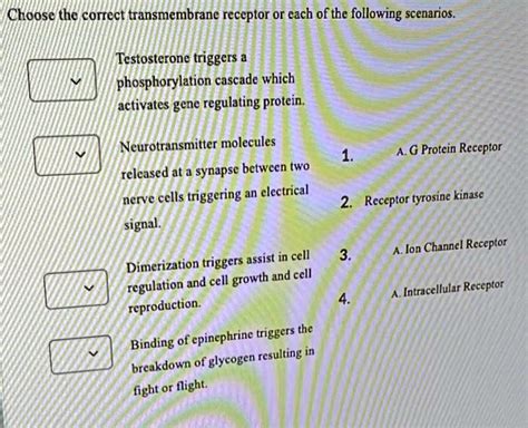 Solved Choose The Correct Transmembrane Receptor For Each Of The Following Scenarios
