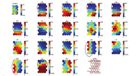 Som Visualization Through U Matrix Top Left And 17 Component Planes