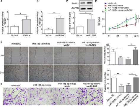 RUNX2 Overexpression Reverses The Effectiveness Of MiR 188 5p Download Scientific Diagram