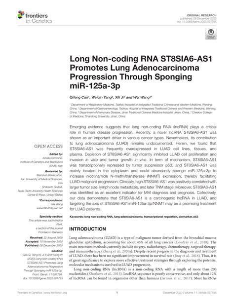 PDF Long Non Coding RNA ST8SIA6 AS1 Promotes Lung Adenocarcinoma