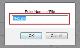 File Management
