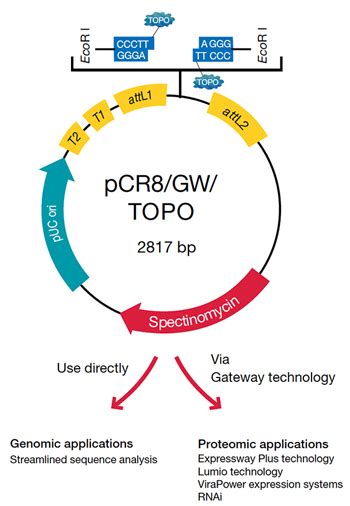 Gateway Vector At Collection Of Gateway Vector Free For Personal Use