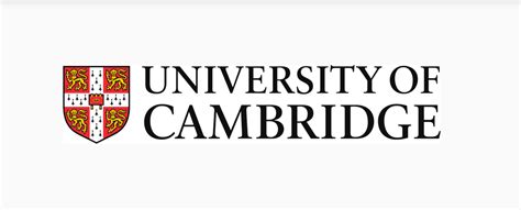 不显电性的小树洞