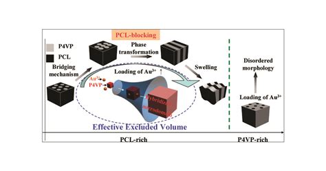 Phase Behavior In Self Assembly Of Inorganicpoly4 Vinylpyridine B Polyε Caprolactone Hybrid