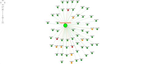 Javascript Dynamically Place Nodes In Cytoscape Js Based On Values