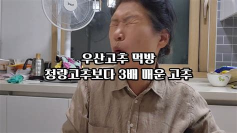 우산고추수확하고맛보기 Youtube