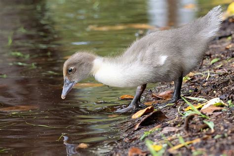Pemahaman Dan Manfaat Edge Computing Dalam Era Digital Goaja