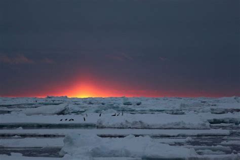 Some Doctors Get Their Appendix Removed Before Going To Antarctica
