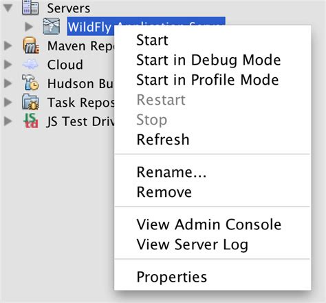 netbeans 8 and wildfly 8 tech tip 6 miles to go 2 0