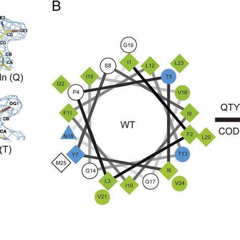 The Qty Code And How It Replaces L V I And F With Q T And Y A
