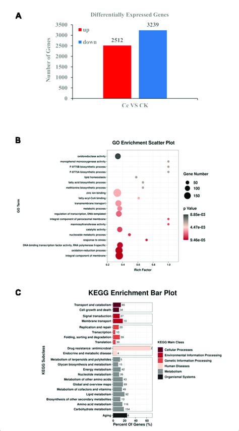 Transcriptomic Analysis Revealed Differentially Expressed Genes In C