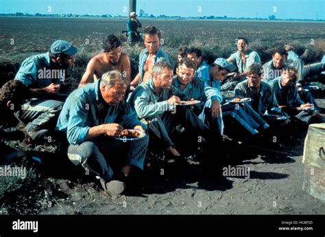 Cool Hand Luke George Kennedy Robert Drivas Paul Newman Dennis