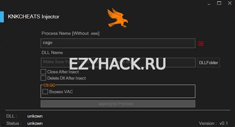 Инжектор Knkcheats Injector для Csgo 2022 Vac Bypass