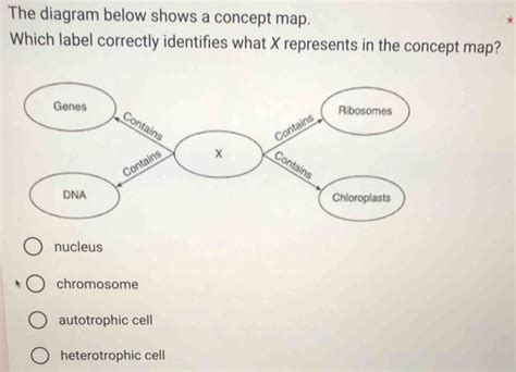 solved the diagram below shows a concept map which label correctly
