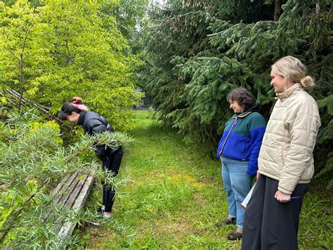 The Orchard Garden Fibonacci Sequence And Coding Unplugged