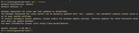 Goneovim Opens And Closes Instantly In Wsl Issue Akiyosi Goneovim GitHub