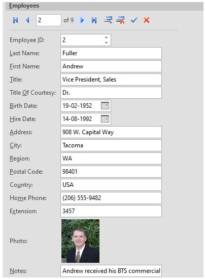 InputPanel Overview InputPanel For WinForms ComponentOne