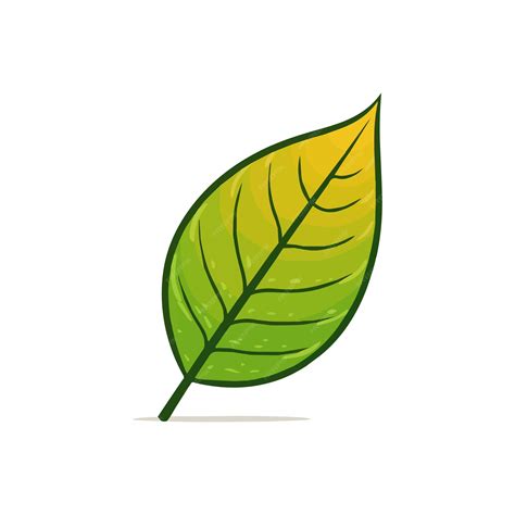 Premium Vector Vector Illustration In Simple Flat Style Leaf Nature
