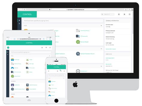 Cpanel Styles Impressive Themes