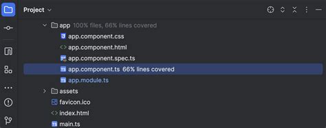Code Coverage Webstorm Documentation