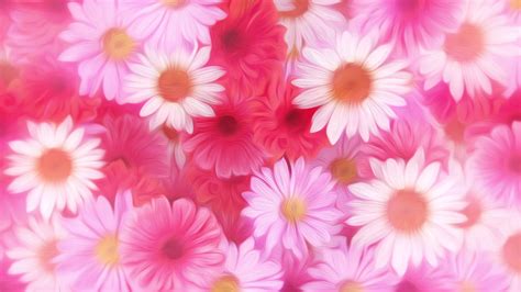 Beautiful Flower Wallpapers For Desktop Animated Beautiful Purple