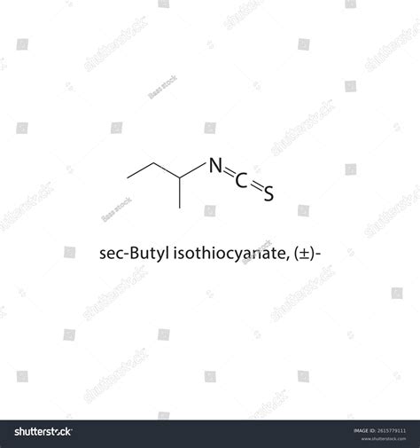 Sec Butyl Isothiocyanate Skeletal Structure Isothiocyanate Compound Stock Vector Royalty Free