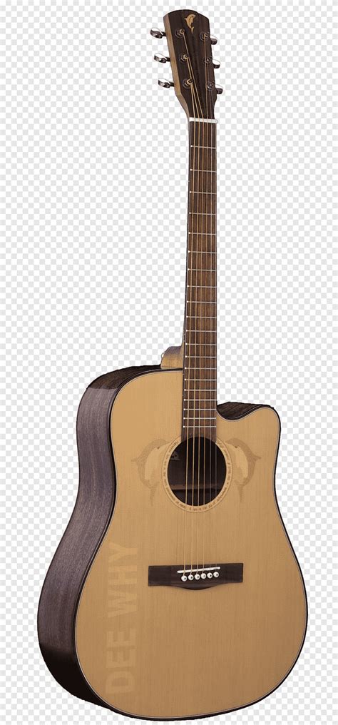Steel-string acoustic guitar Dreadnought Classical guitar, Acoustic ...