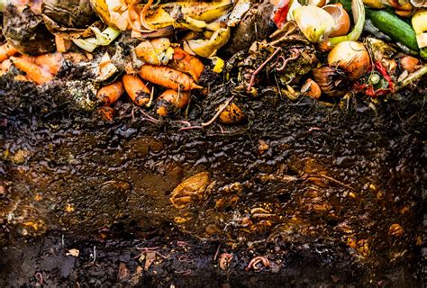 Make Your Own Worm Bedding