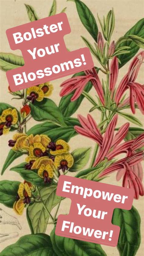 Andy Thewlis On Linkedin Empower Your Flowers 🌻🌻🌻 Bolster Your