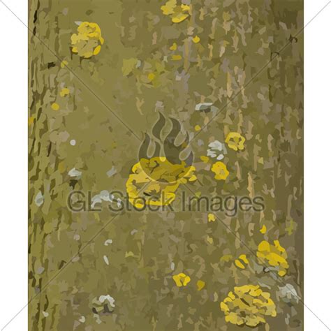 Tree Bark Vector At Getdrawings Free Download
