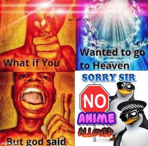 Simp Imgflip