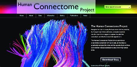 The Goal Of Human Connectome Project Is To Map The Anatomical And