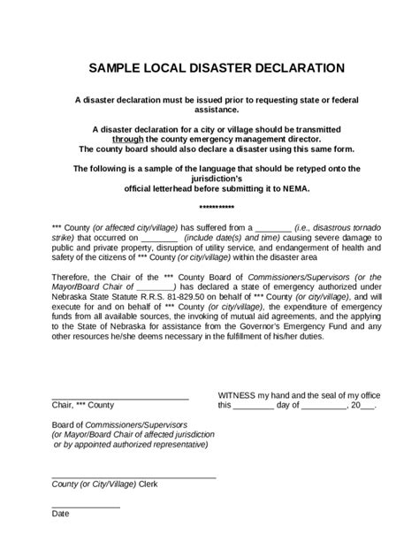 SAMPLE LOCAL DISASTER DECLARATION Nema Nebraska Doc Template PdfFiller