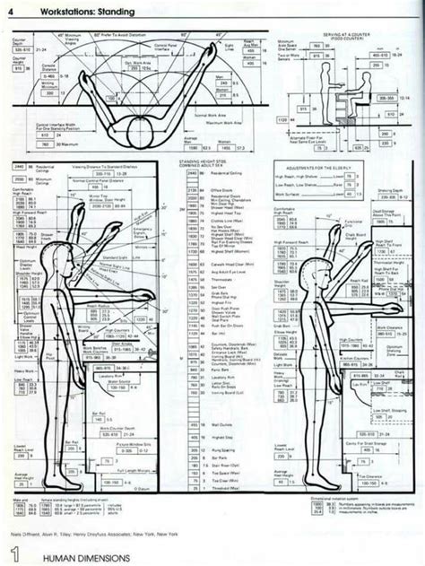 Standard Ergonomic Design Architecture Human Dimension Workshop