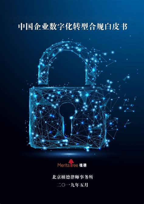 中国企业数字化转型合规白皮书（2019）