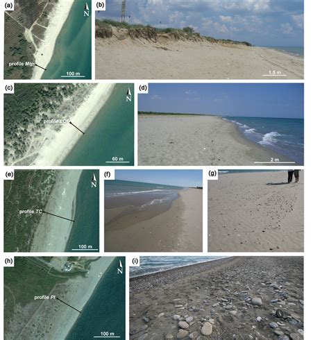 Short Term Assessment Of Retreating Vs Advancing Microtidal Beaches